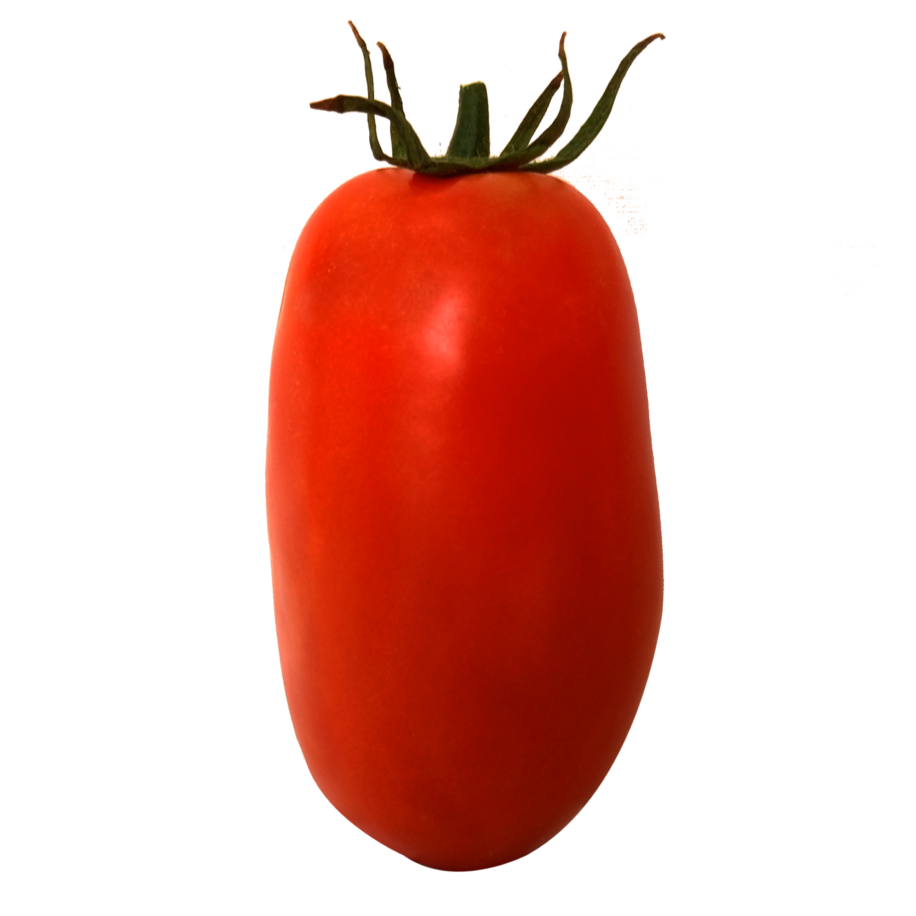 Tomates Mercado Fresco - Blueseeds